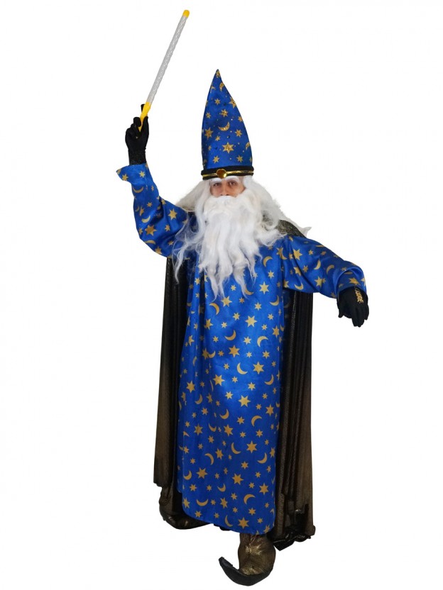 Wizard Party for kids toronto